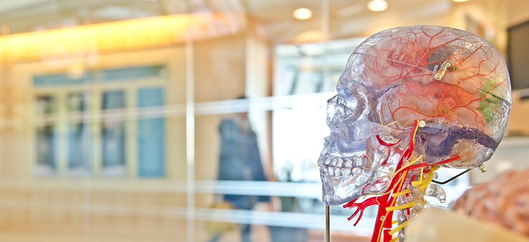 How the Adult Brain Learns: The Importance of Creating Enriched ...